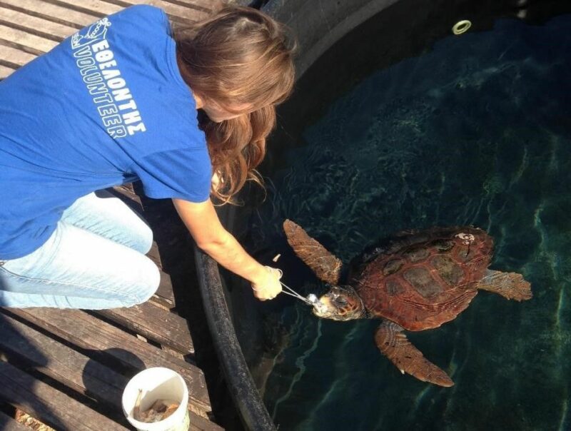Where to see and get close to animals in Athens with kids