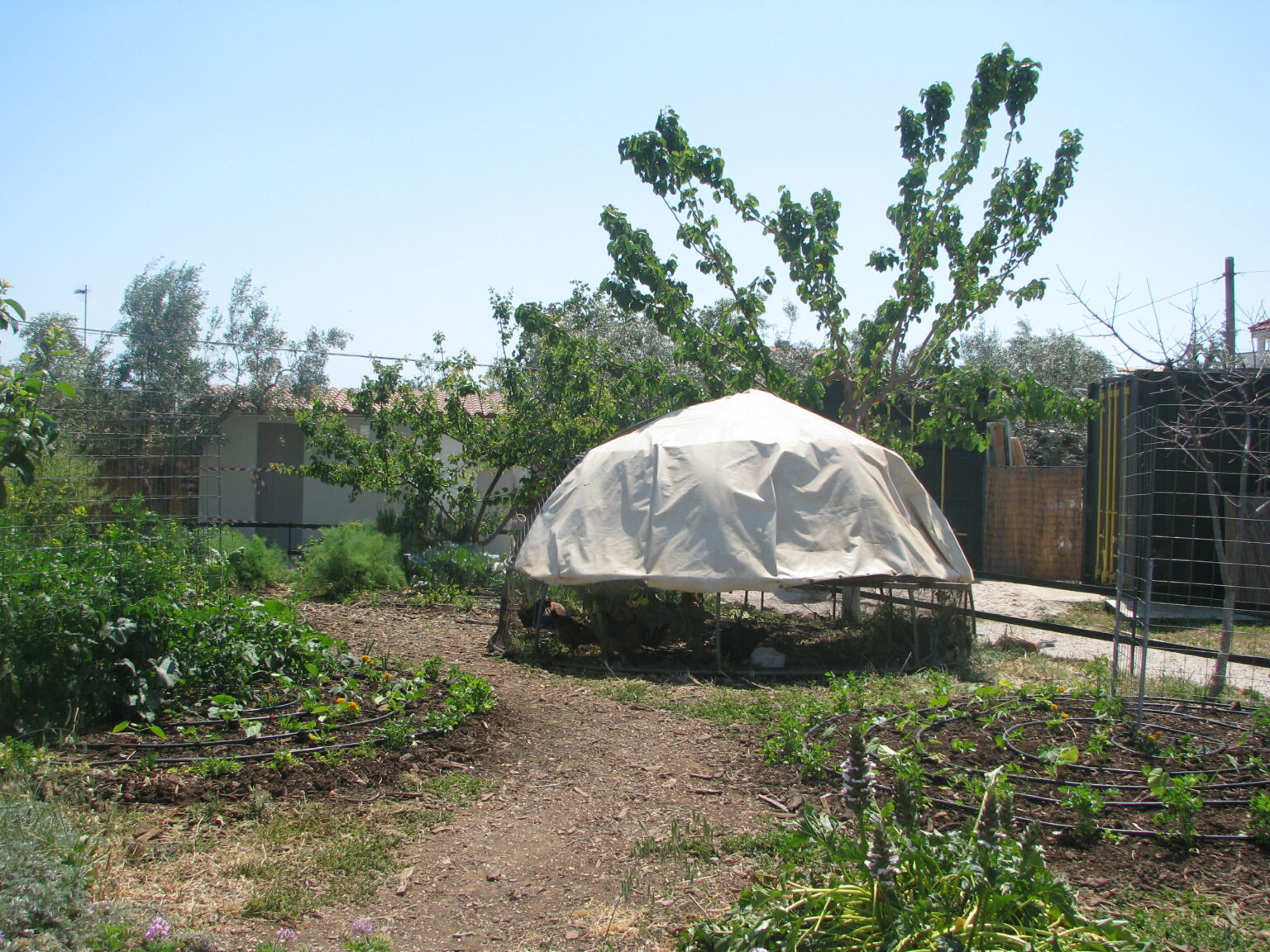 Perivoli urban farm in Athens with kids experience