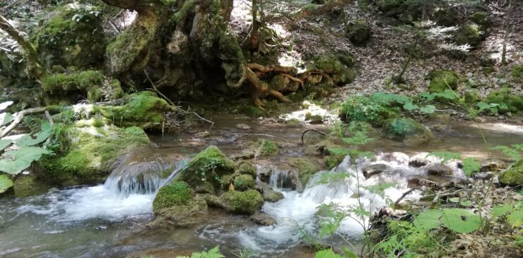 Amazing Pavliani Village & Pavliani Recreational Park Greece