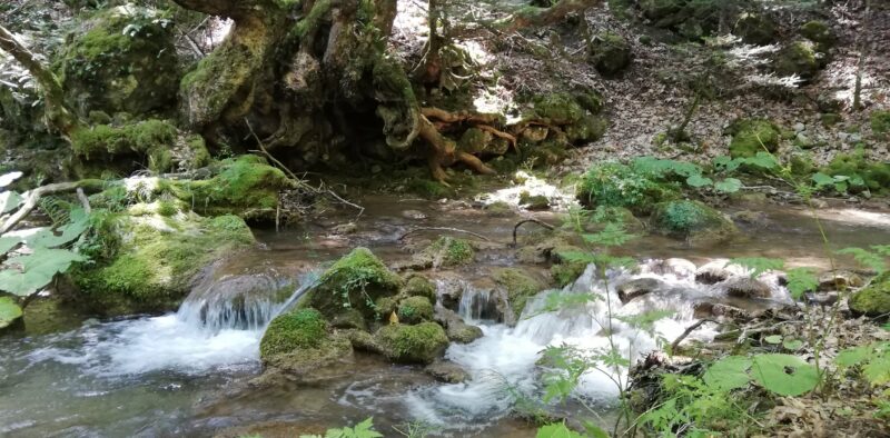 Amazing Pavliani Village & Pavliani Recreational Park Greece