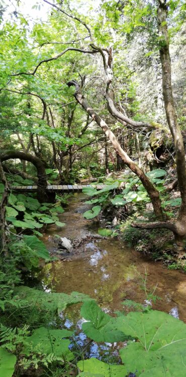 Amazing Pavliani Village & Pavliani Recreational Park Greece