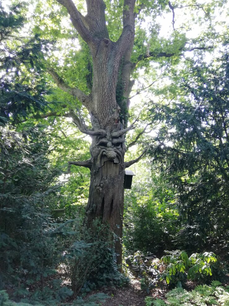 Efteling in the Netherlands is the best European theme park! A Family ...